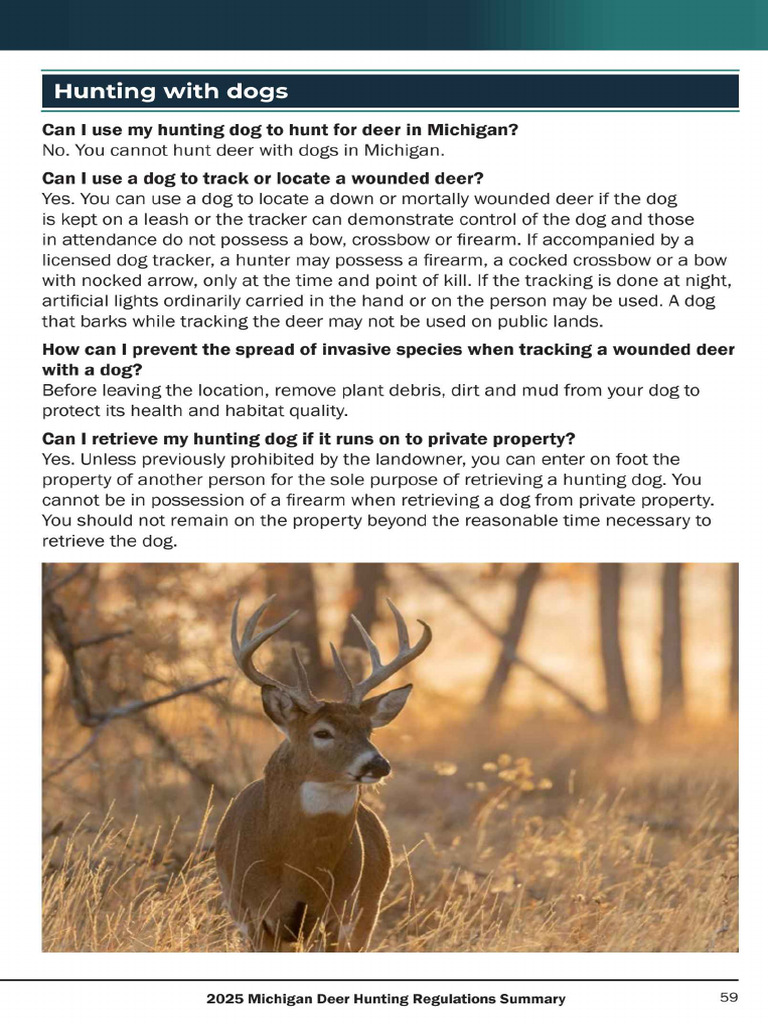 2025 Deer Hunting Regulations Summary | PDF