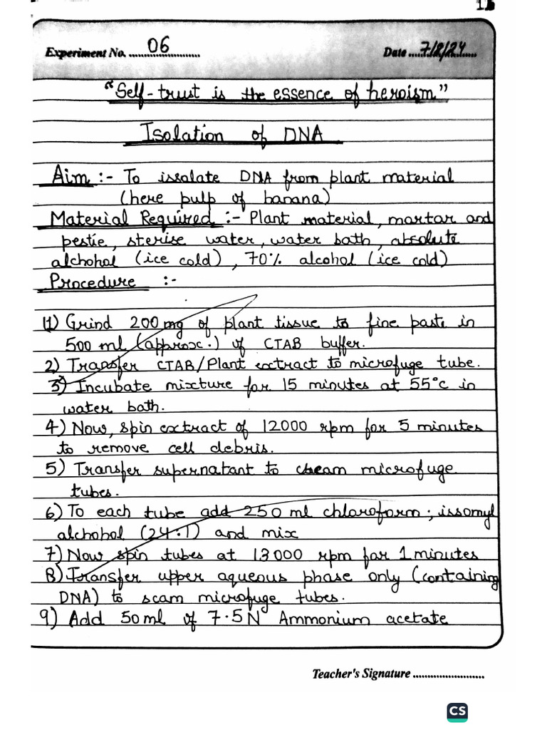 Lab Work 12b | PDF