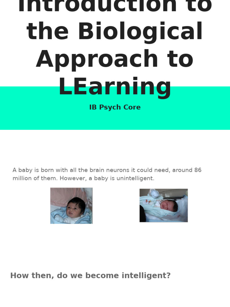 Introduction To The Biological Approach To Learning | PDF | Brain ...
