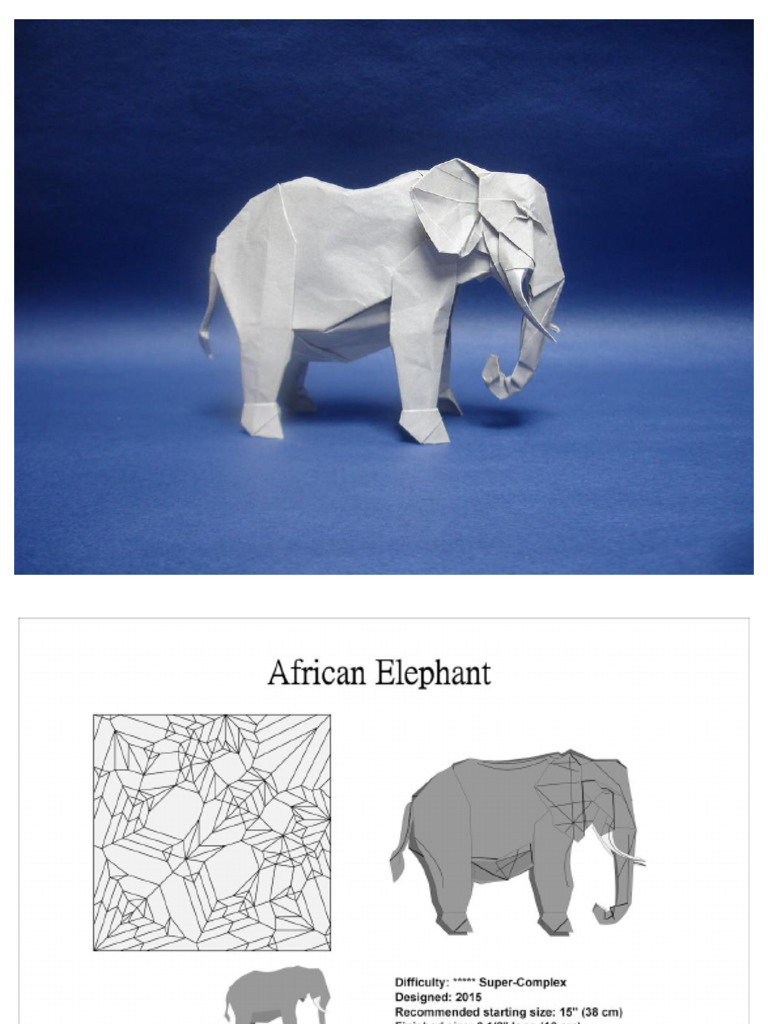 African Elephant | PDF