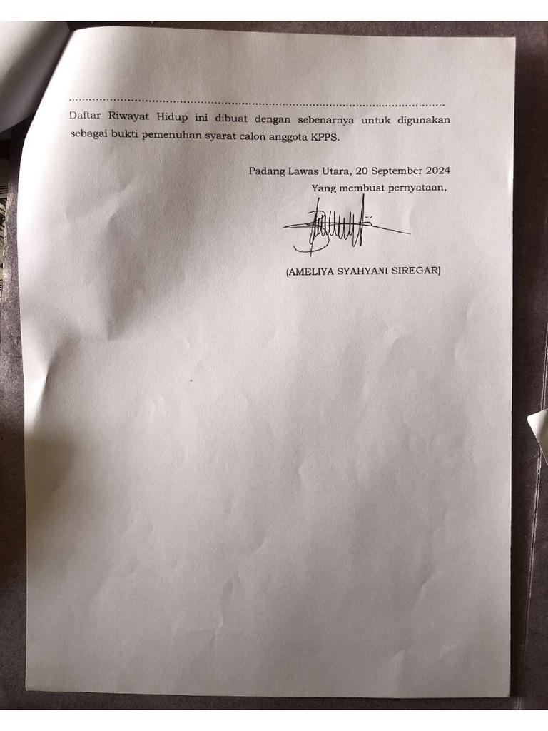 Riwayat Hidup Amel | PDF