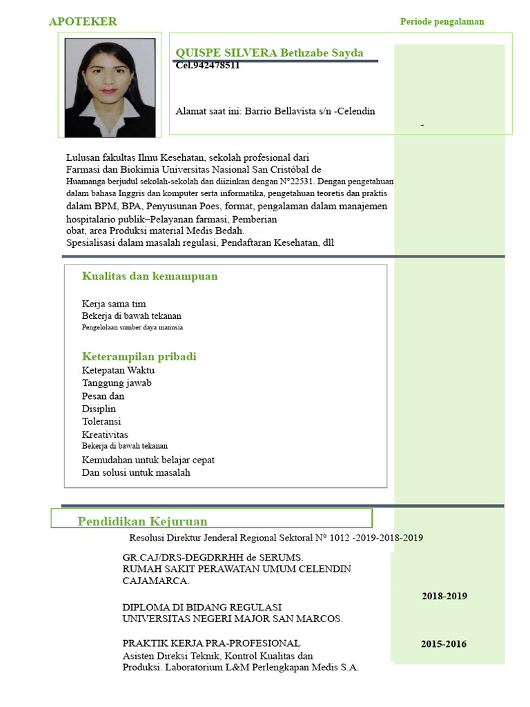 Ringkasan CV 2022 | PDF