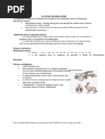 Structure des branchies des poissons | PDF | Branchie | Système ...