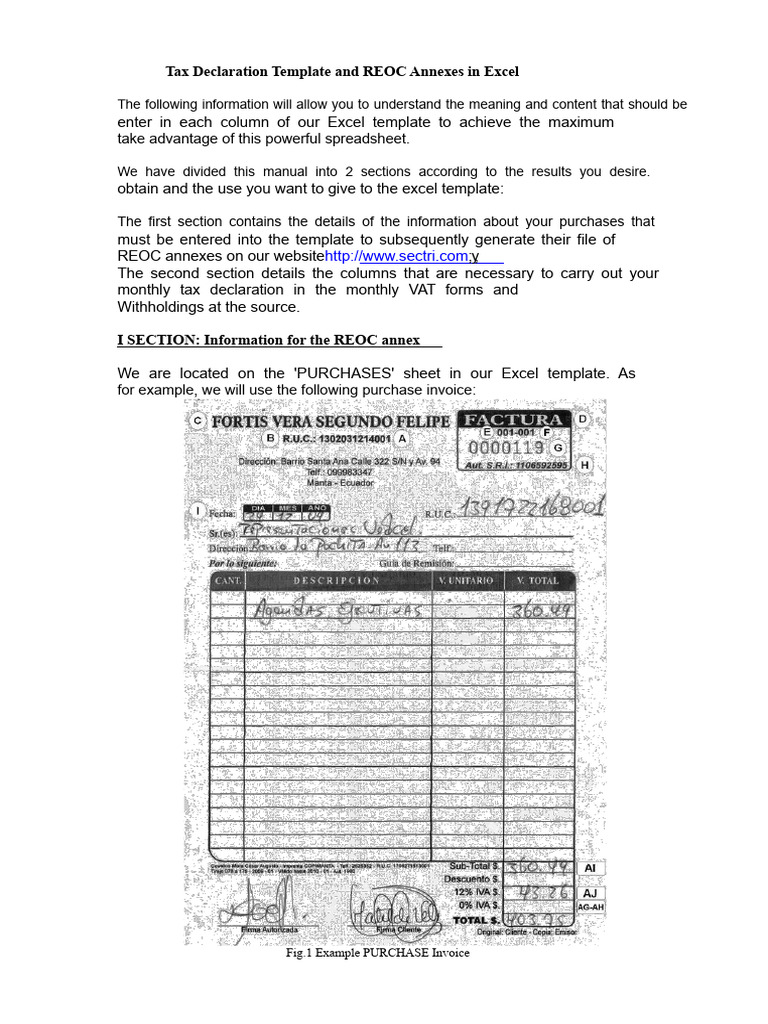 Manual Template For Tax Declaration and REOC Appendices in Excel | PDF ...