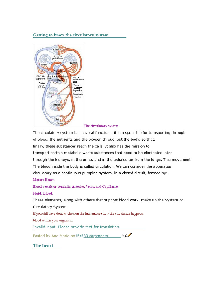 Knowing The Circulatory System | PDF | Circulatory System | Heart