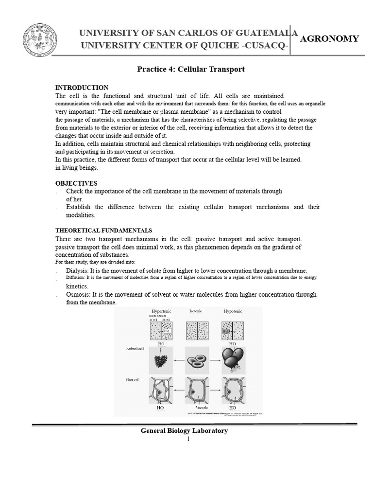 Cellular Transport Mechanisms Explained | PDF | Osmosis | Cell Biology