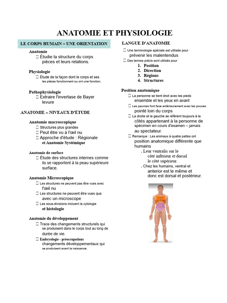 Notes D'anatomie Et de Physiologie | PDF | Sang | Système de référence ...