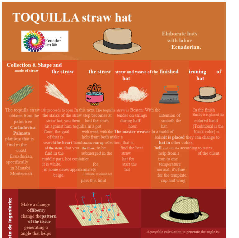Toquilla Straw Hat Infographic | PDF