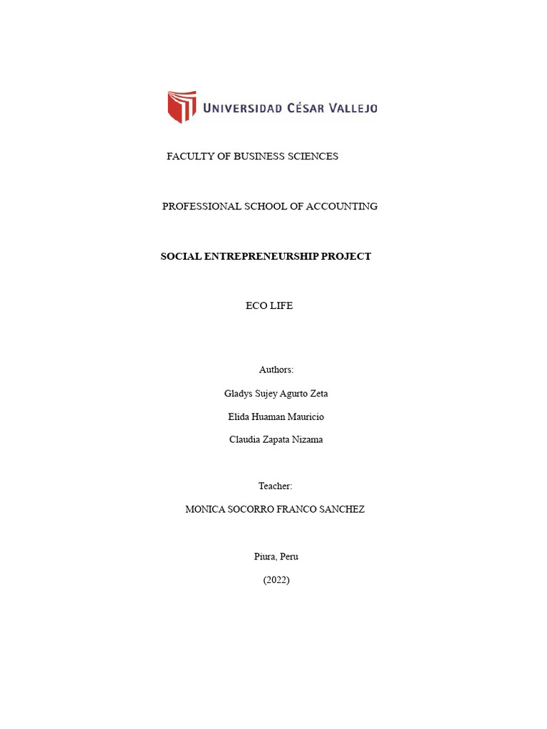 Final Structure - Social Entrepreneurship Project | PDF | Prototype ...