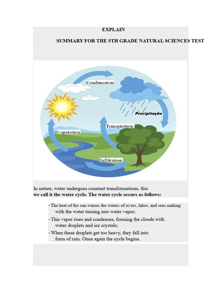 Summary Science 5th Grade | PDF | Water | Water Cycle