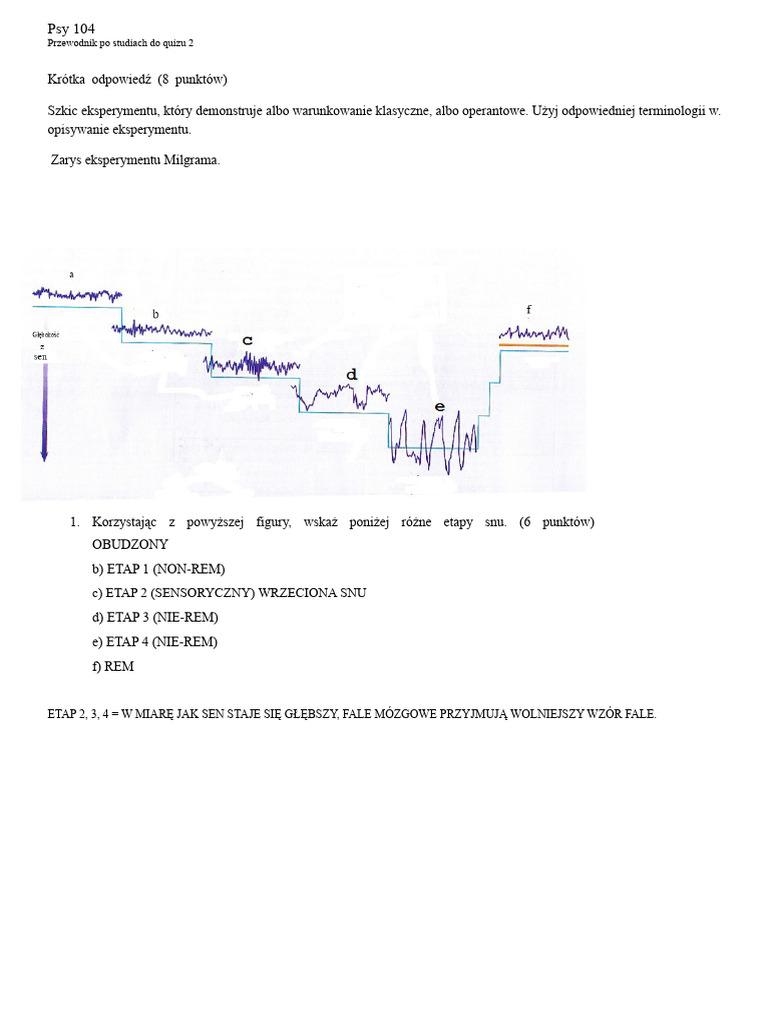 Psy 104 Quiz2 Przykładowe Pytania | PDF