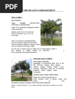 Molave Tree: Benefits and Growing Guide | PDF | Trees | Plants
