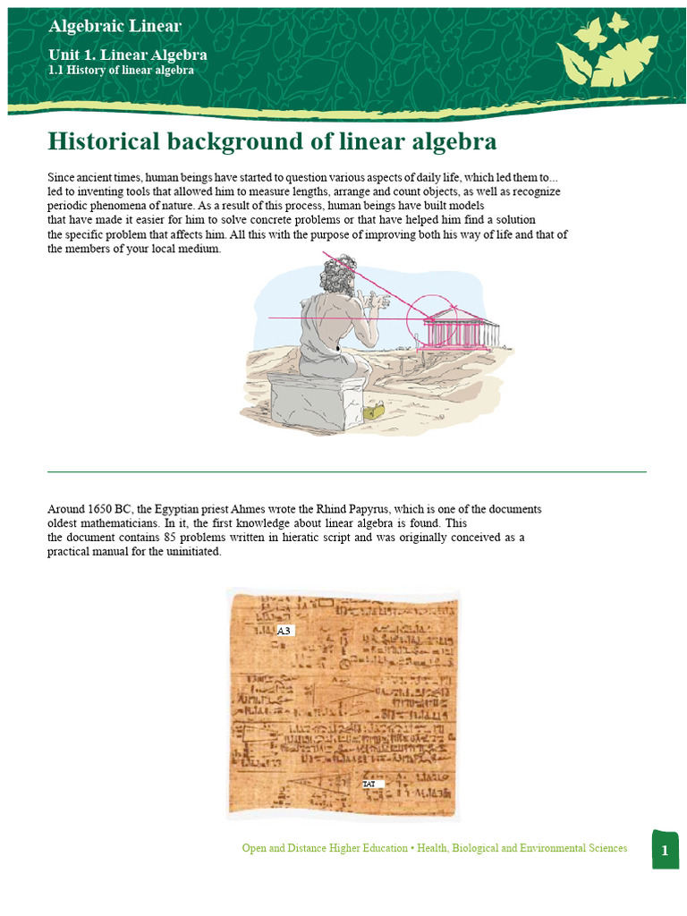 History of Linear Algebra | PDF | Algebra | Matrix (Mathematics)