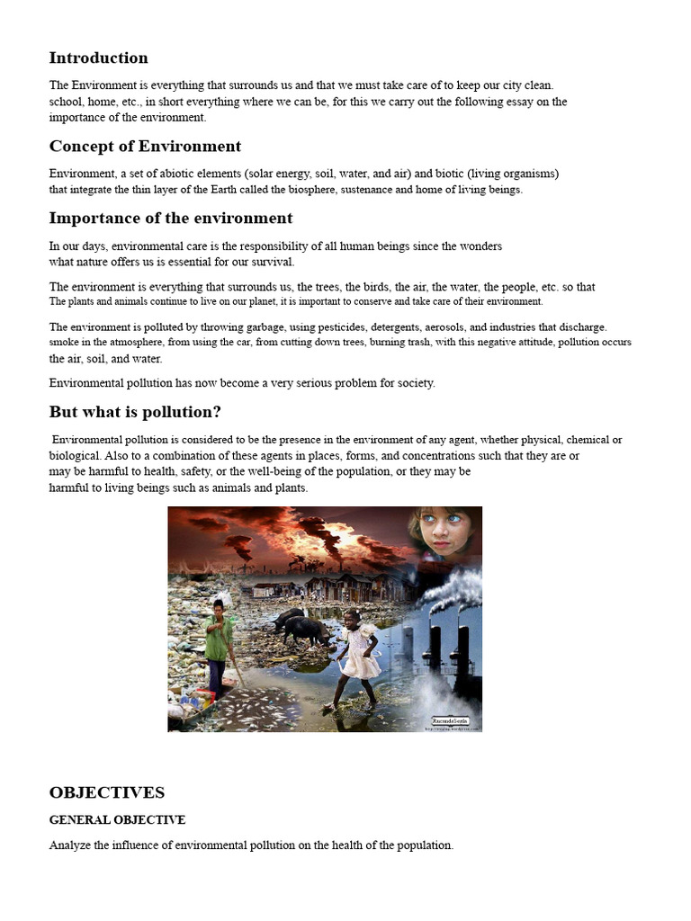 Importance of Environmental Care | PDF | Natural Environment | Pollution