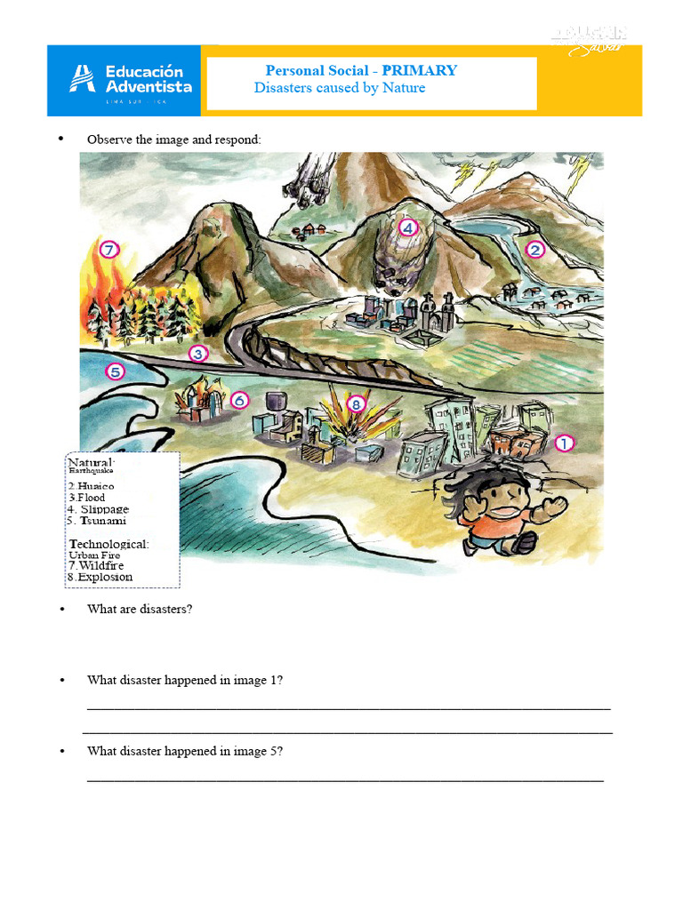 Grade 3 Natural Disaster Project Guide | PDF