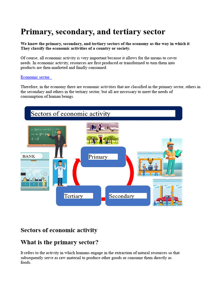 Sectors of Economic Activity | PDF | Goods | Agriculture
