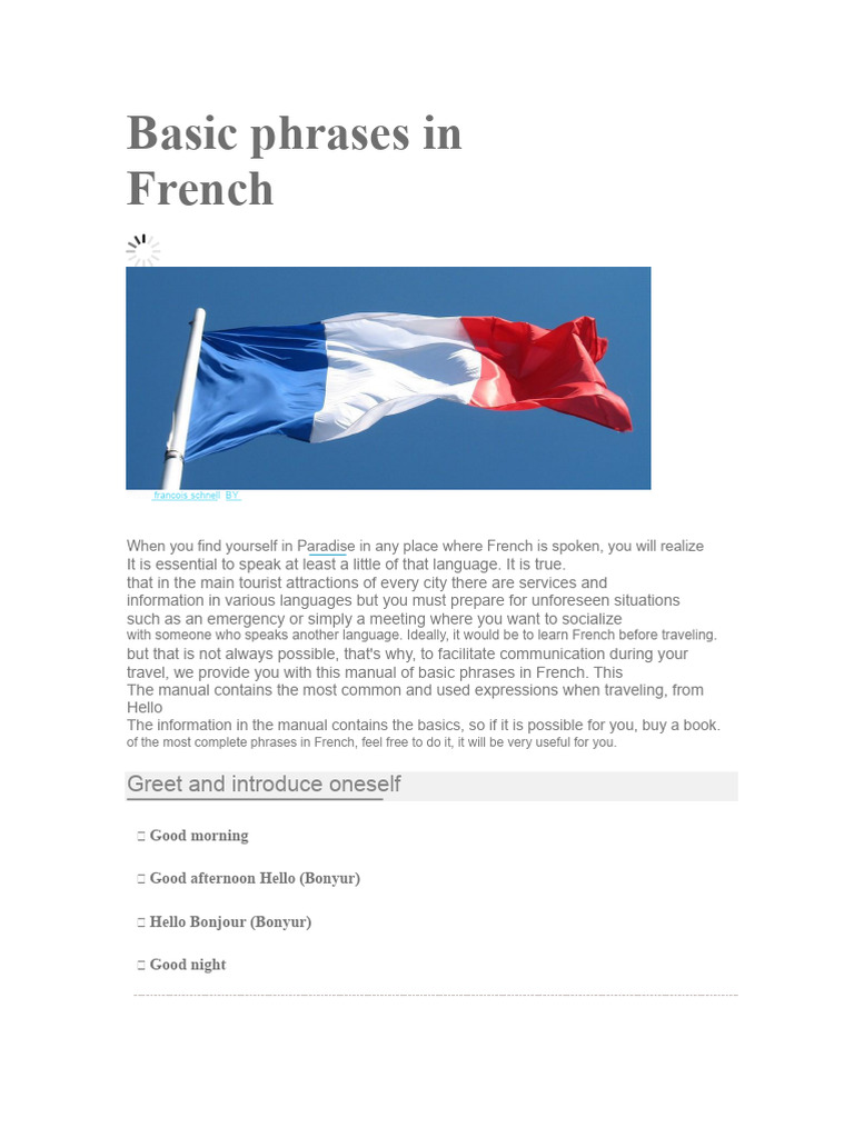 Essential French Phrases for Travelers | PDF | Pork | French Language