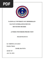 PA Axial Caldwell Method Overview | PDF | Skull | Radiography