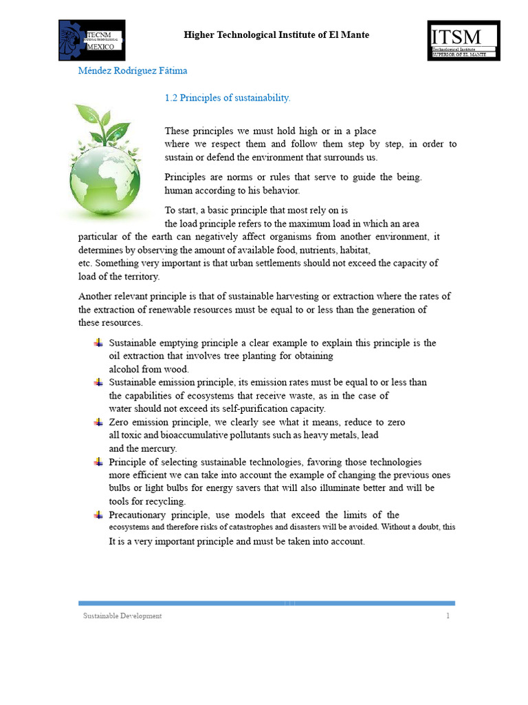 Principles of Sustainability Explained | PDF | Sustainability ...
