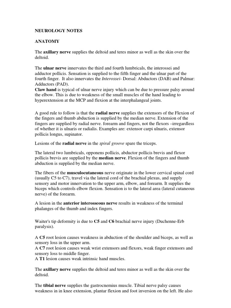 Neurology Notes | PDF