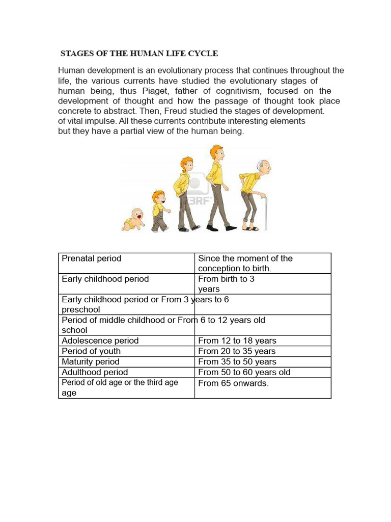 Stages of The Human Life Cycle | PDF | Adolescence | Self Concept