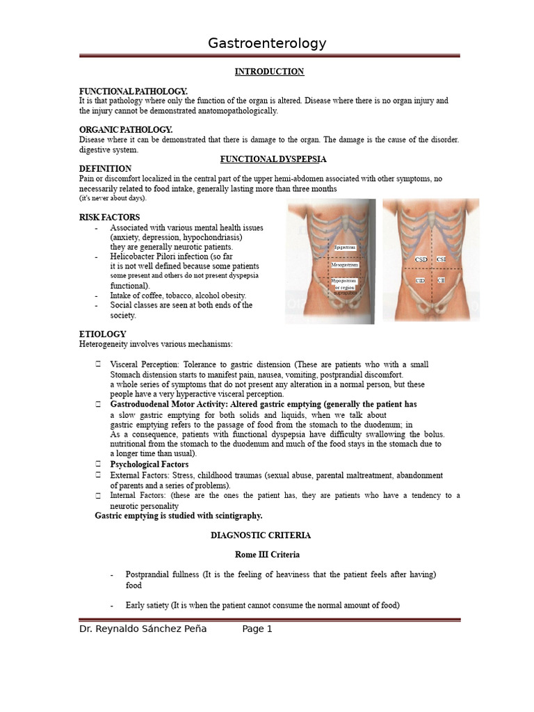 Gastroenterology Summary | PDF | Indigestion | Stomach