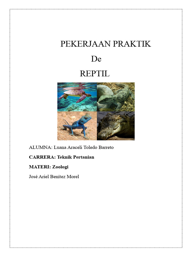 Pekerjaan Praktikum Reptil | PDF