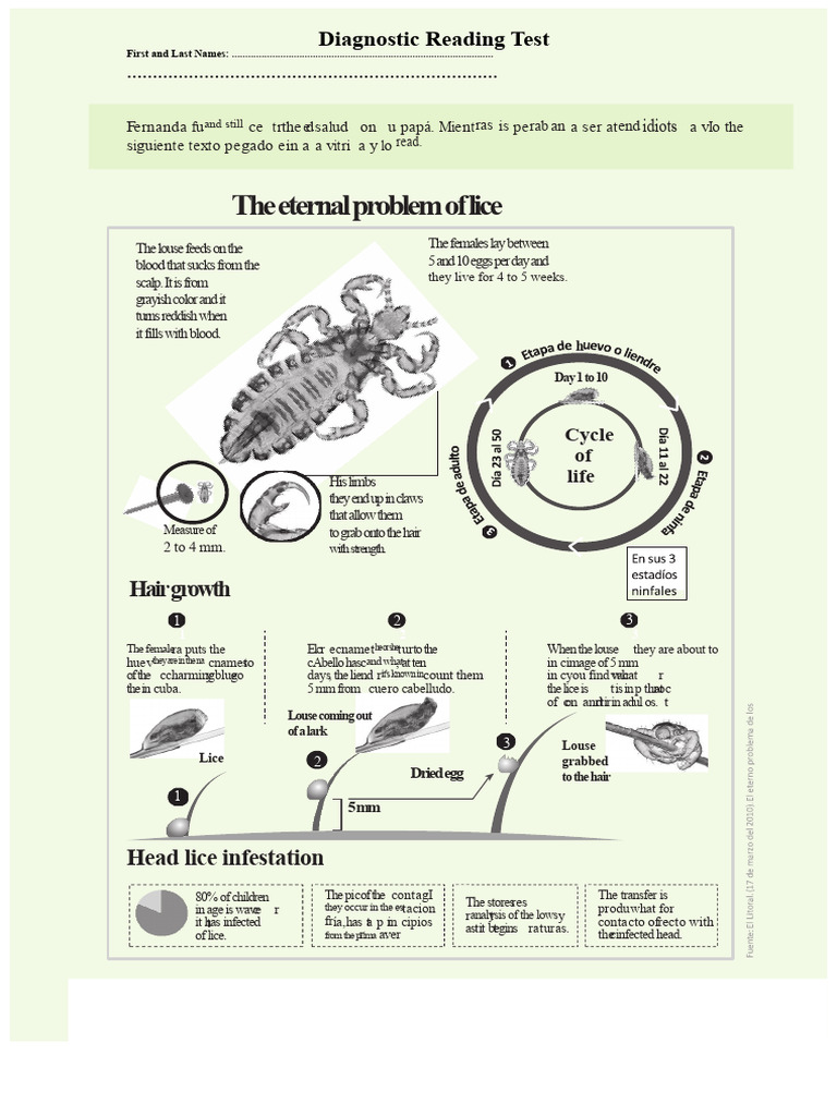 Diagnostic Reading Test 1st Grade | PDF | Homework