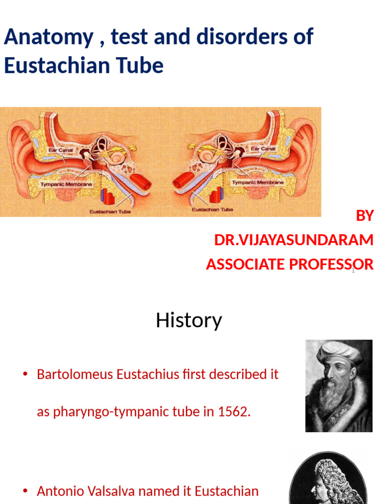 Eustachian Tube: Anatomy and Disorders | PDF | Anatomy ...