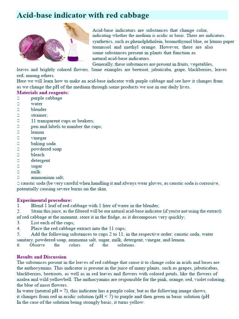 Red Cabbage Acid-Base Indicator Guide | PDF | Chemical Compounds