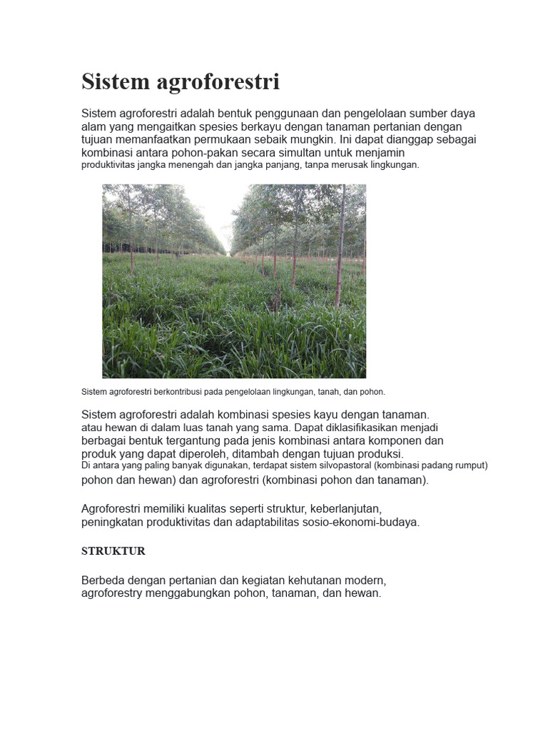 Sistem Agroforestri | PDF