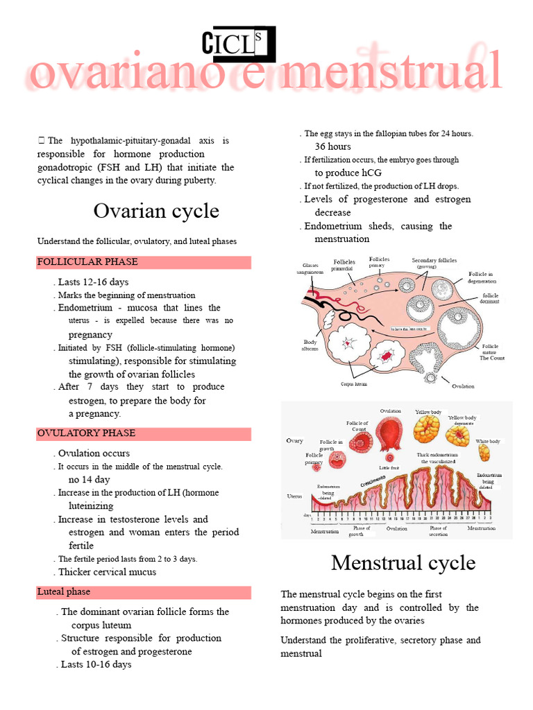 Ovarian and Menstrual Cycle | PDF | Menstrual Cycle | Ovary