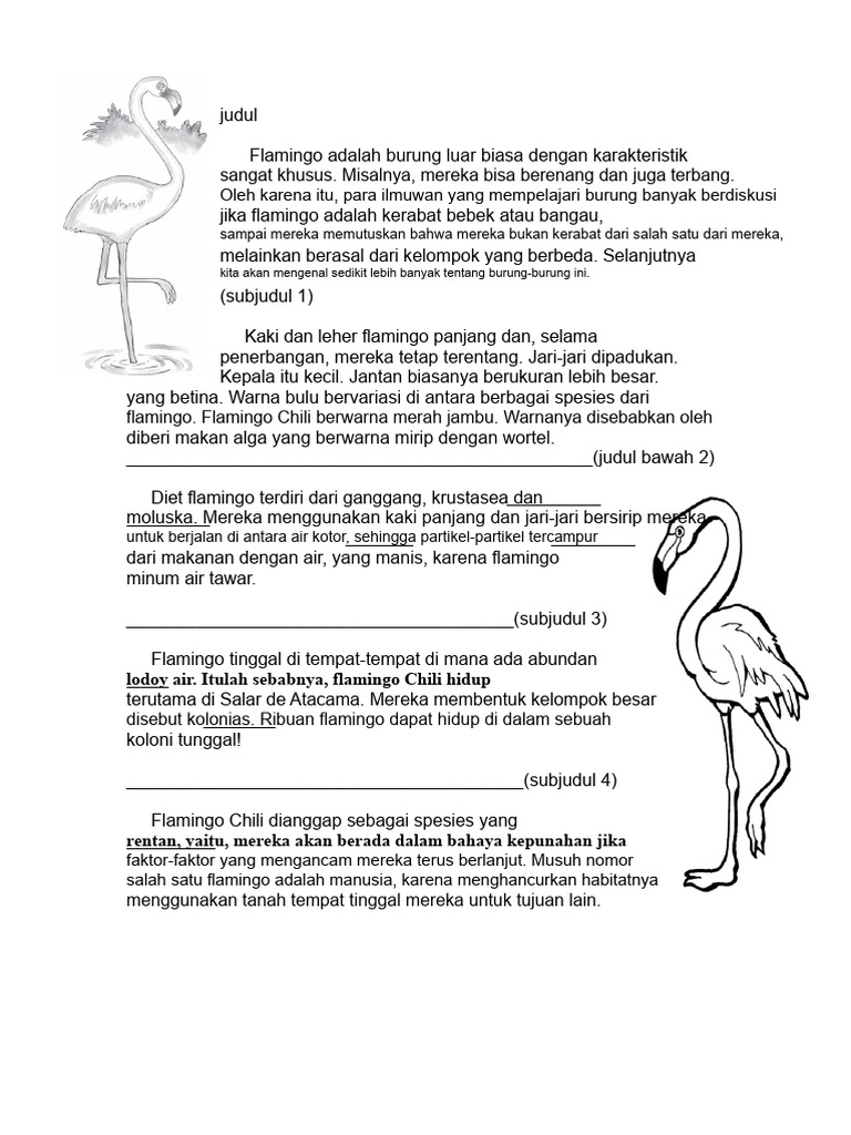 Karakteristik dan Habitat Flamingo | PDF