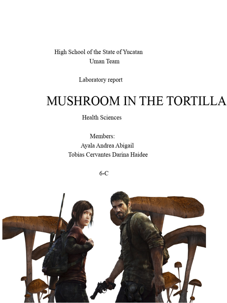 Cdls. Fungus in Tortilla PDF | PDF | Mold | Fungus