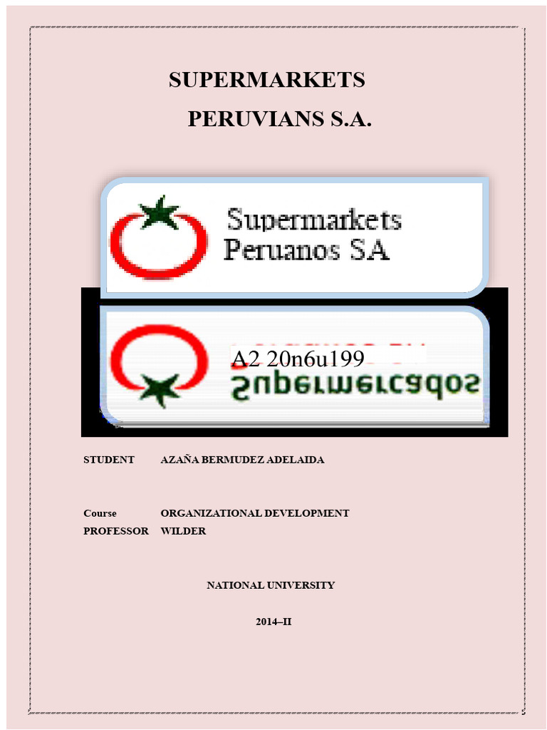 Peruvian Supermarkets: Organizational Overview | PDF | Supermarket | Sales