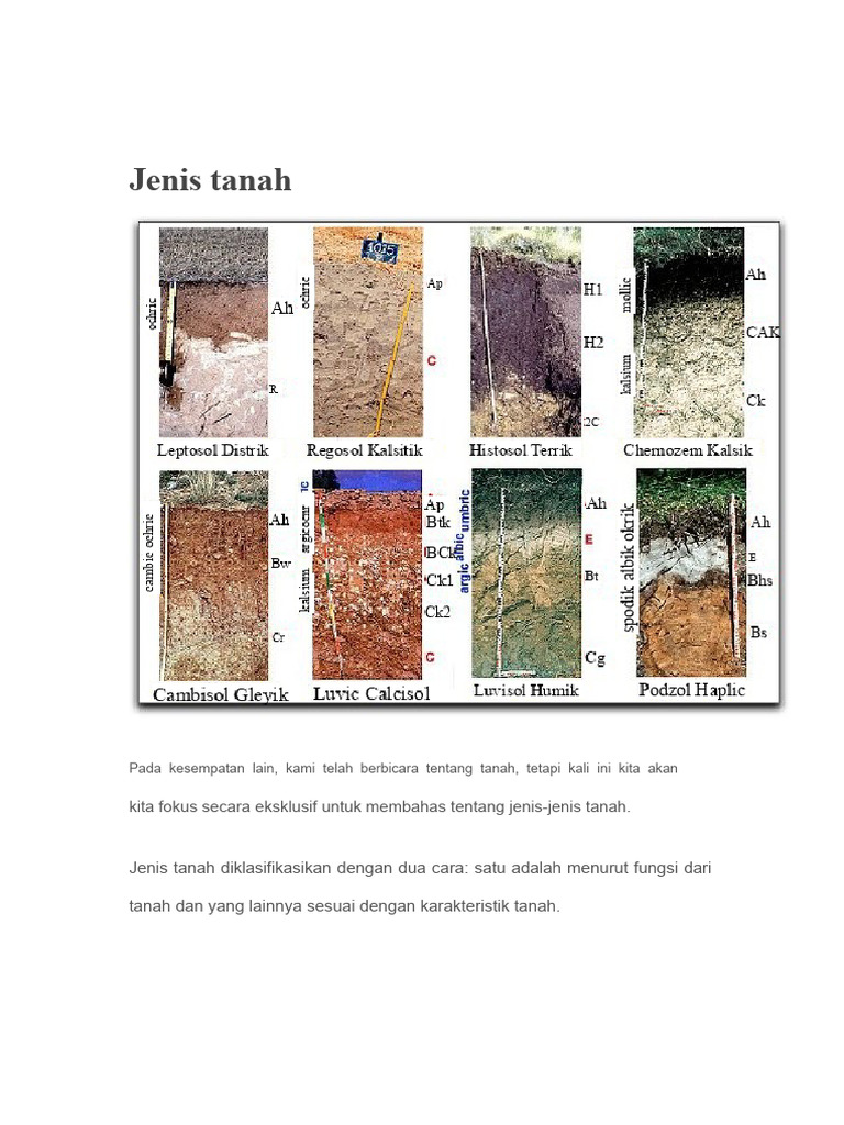 Jenis-Jenis Tanah dan Karakteristiknya | PDF