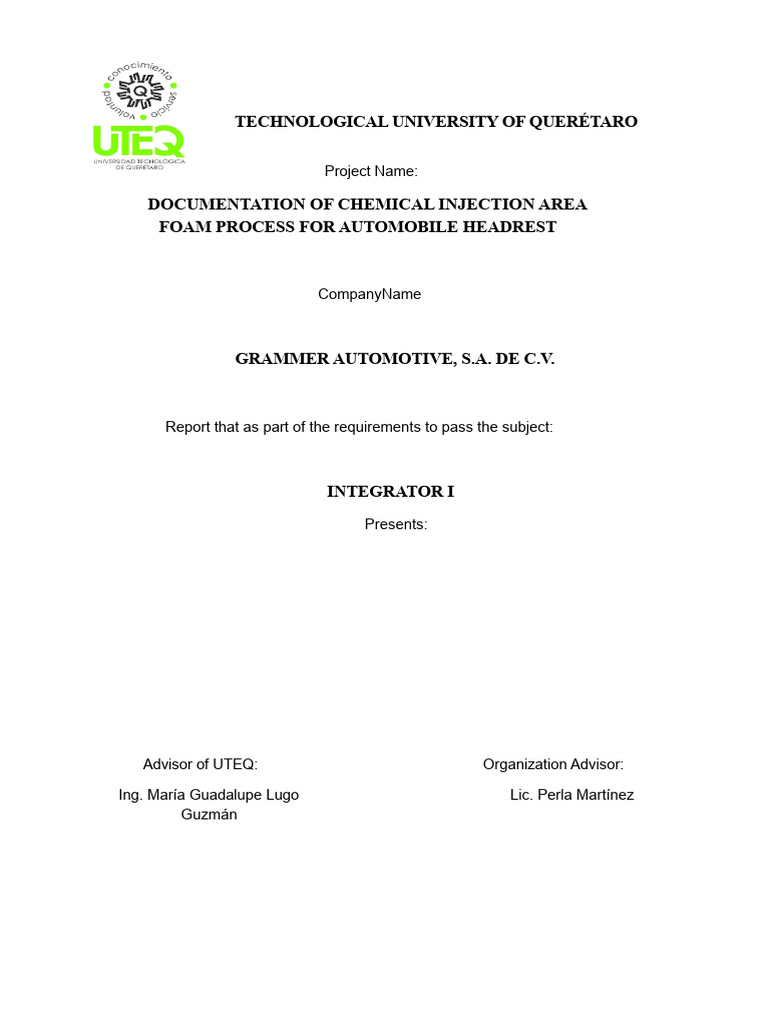 Example of Integrative Report (Grammer Automotive) | PDF | Polyurethane