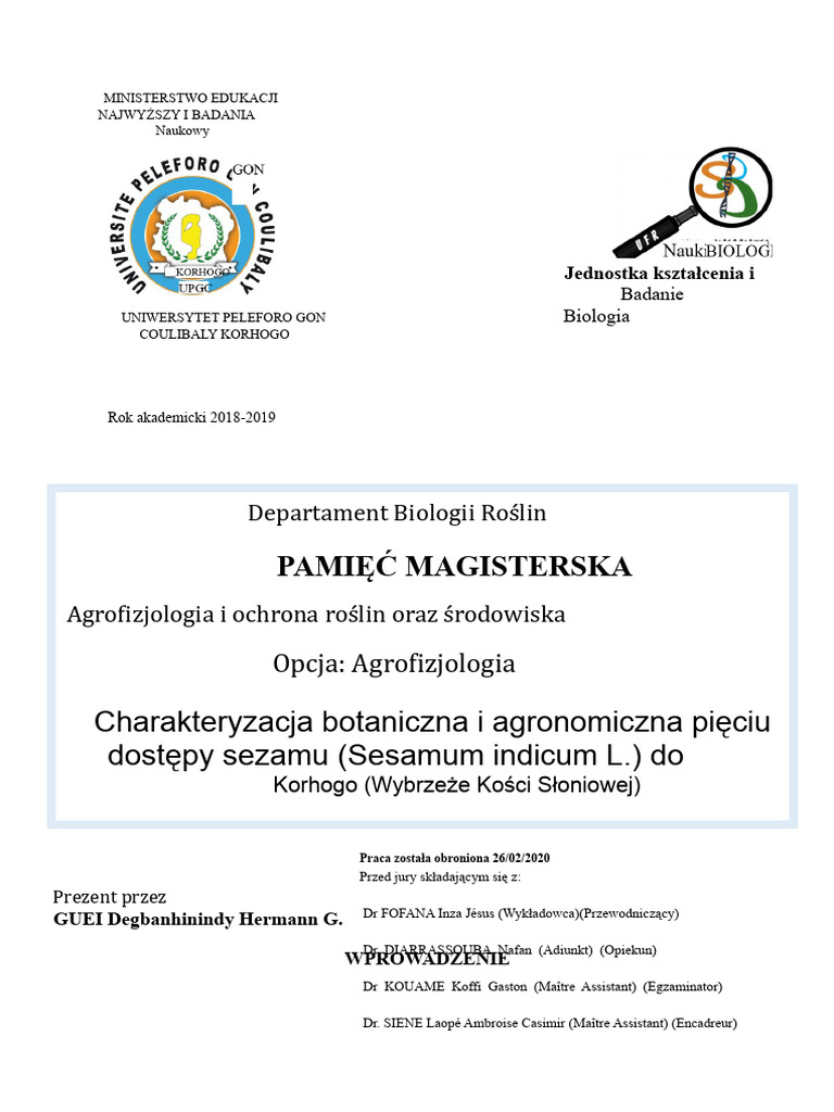 Pamiętnik M2 Final Sesame-1 | PDF