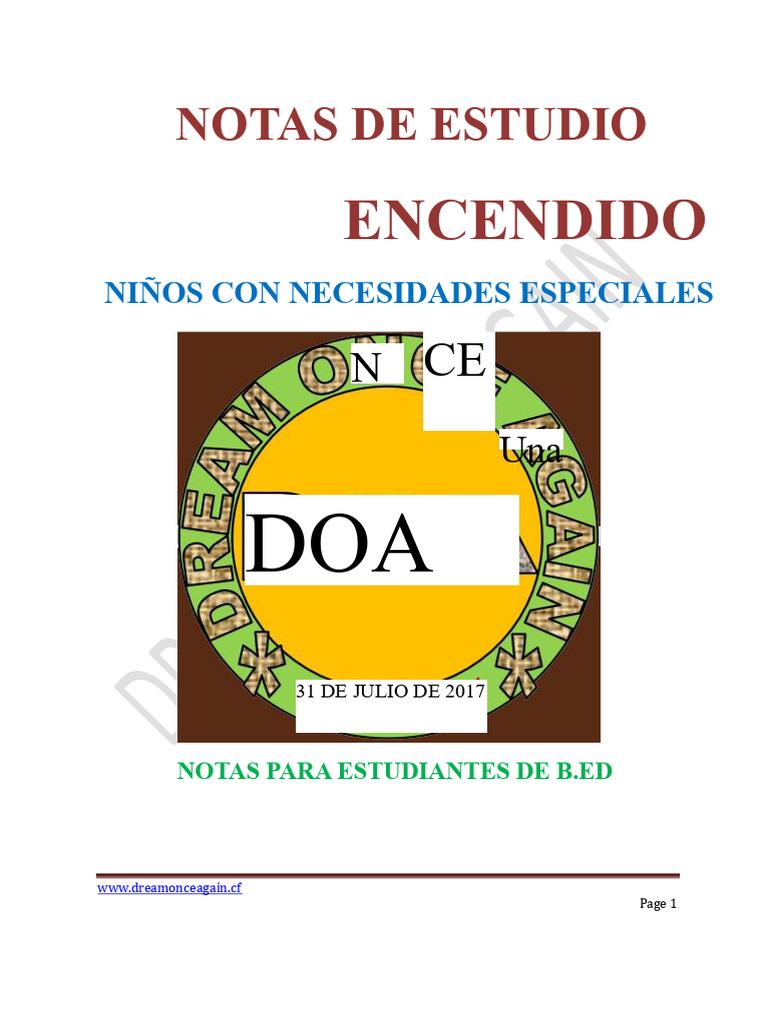 Niños Con Necesidades Especiales | PDF | Invalidez | Plan de estudios