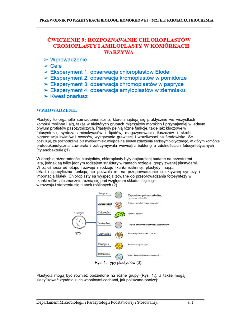 Przewodnik Po Praktykach: Rozpoznawanie Chloroplastów, Chromoplastów I ...