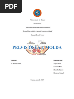 Anatomia da Pelve: Ossos e Articulações | PDF | Pélvis | Coluna vertebral