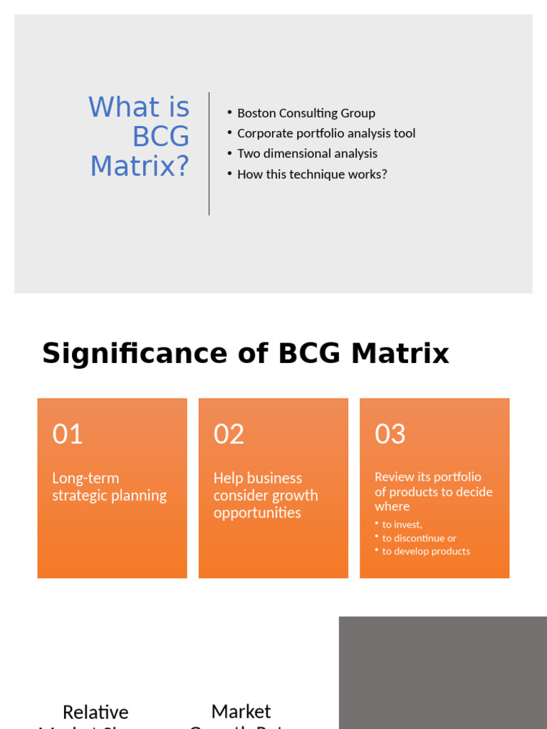 BSCP Group13 - BCG Matrix | PDF