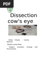 Sheep Eye Dissection Lab Guide | PDF | Eye | Facial Features