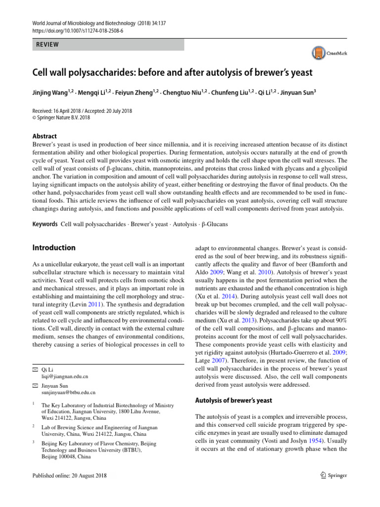 Cell Wall Polysaccharides Before and After Autolysis | PDF | Yeast ...