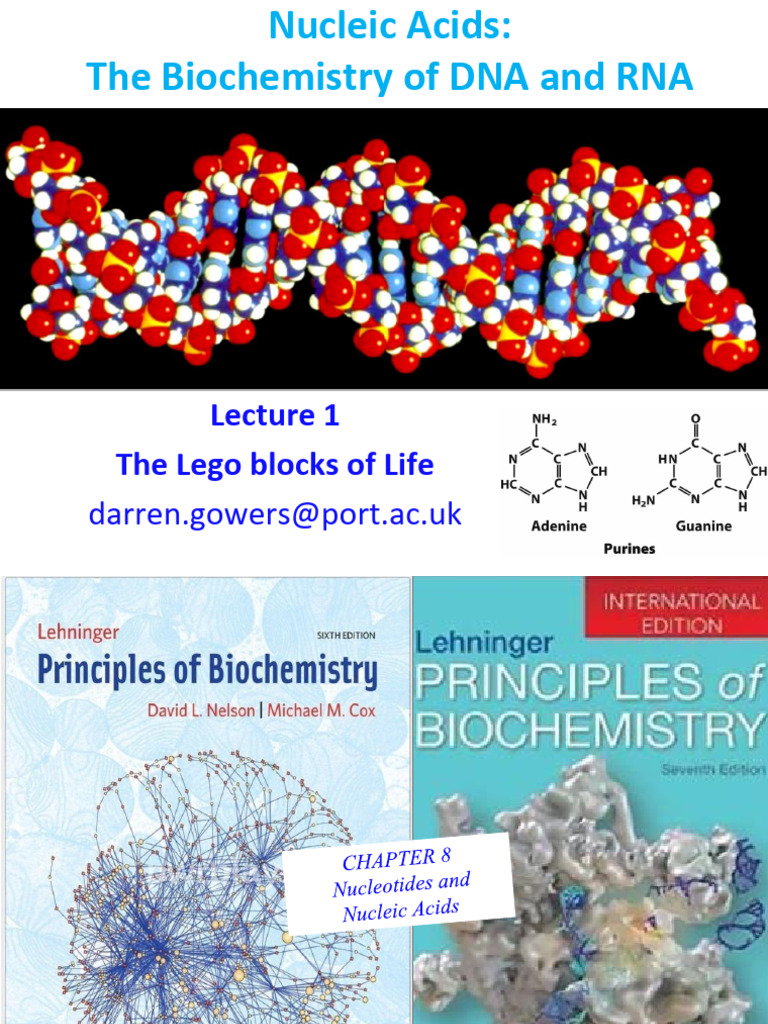 Biochemistry of DNA and RNA Explained | PDF | Nucleic Acids | Nucleotides