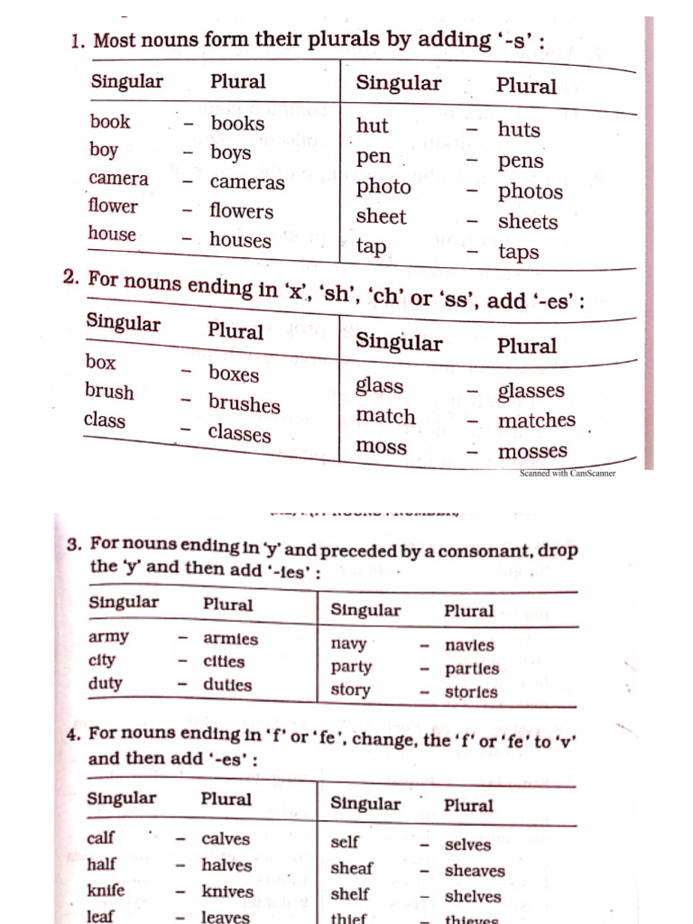 Singular Plural... Waseem Sir | PDF