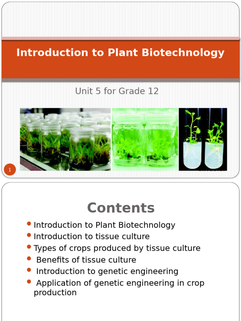 Plant Biotechnology and Tissue Culture Guide | PDF | Plant Breeding ...