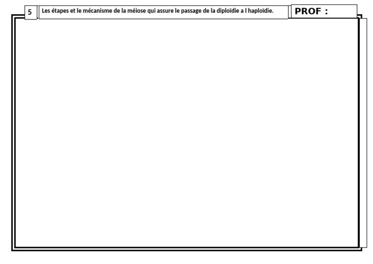 Mecanisme Meiose PL 5 | PDF