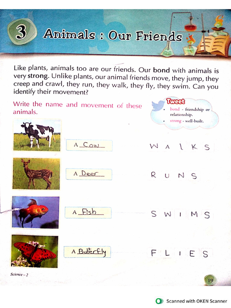 3.animals Our Friends | PDF