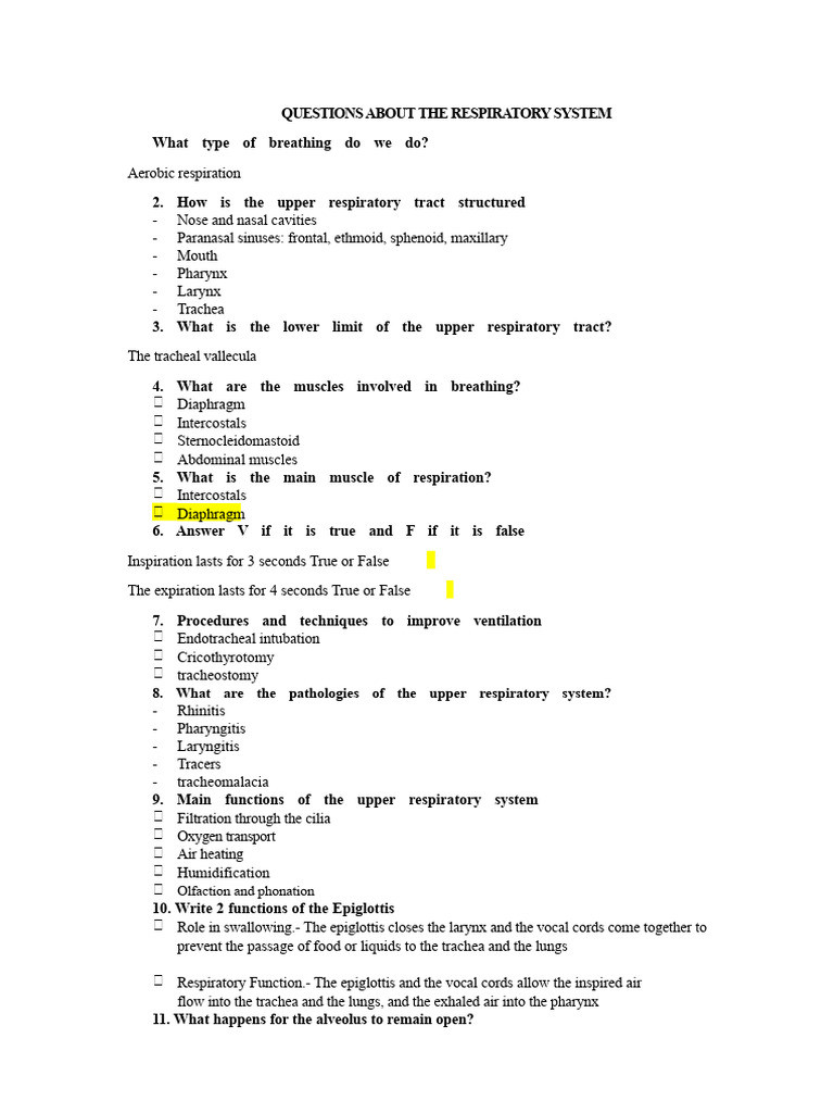 Overview of the Respiratory System | PDF | Respiratory Tract ...